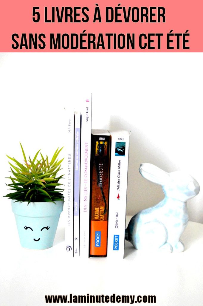 5 livres à dévorer sans modération cet été - La Minute d'Emy Blog Lifestyle